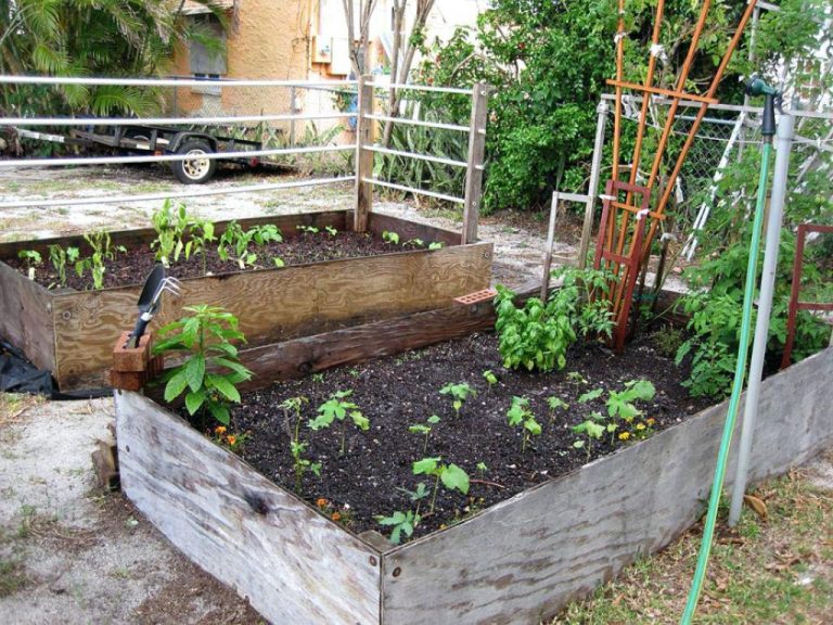 Above Ground Garden Box Kits — Randolph Indoor and Outdoor Design