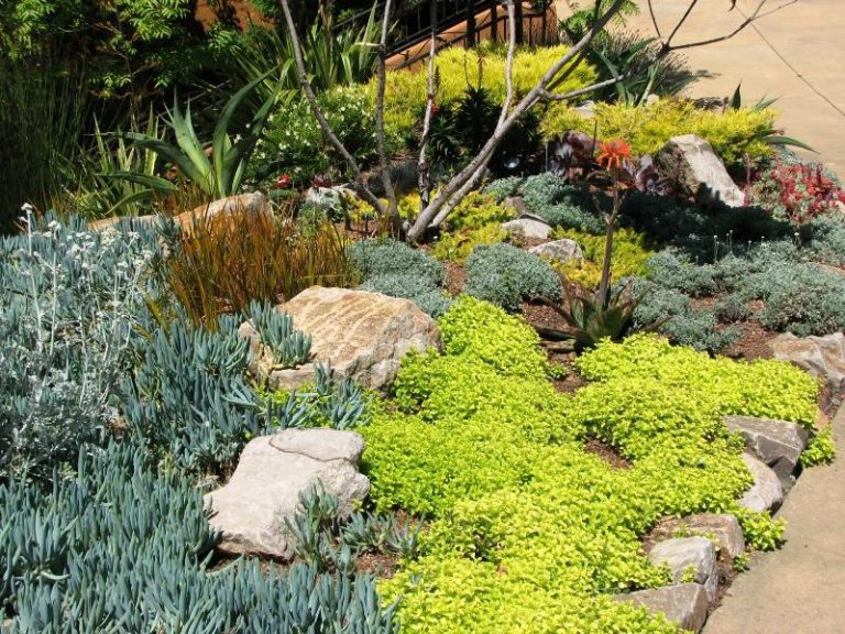 Diy Low Water Landscaping — Randolph Indoor and Outdoor Design