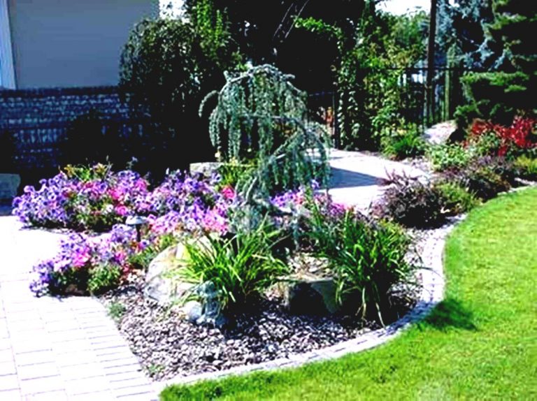 Easy Low Maintenance Landscaping Ideas — Randolph Indoor and Outdoor Design