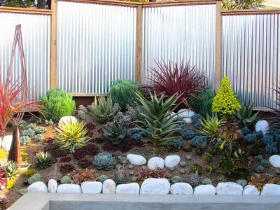Low Water Landscape Design Ideas — Randolph Indoor and Outdoor Design