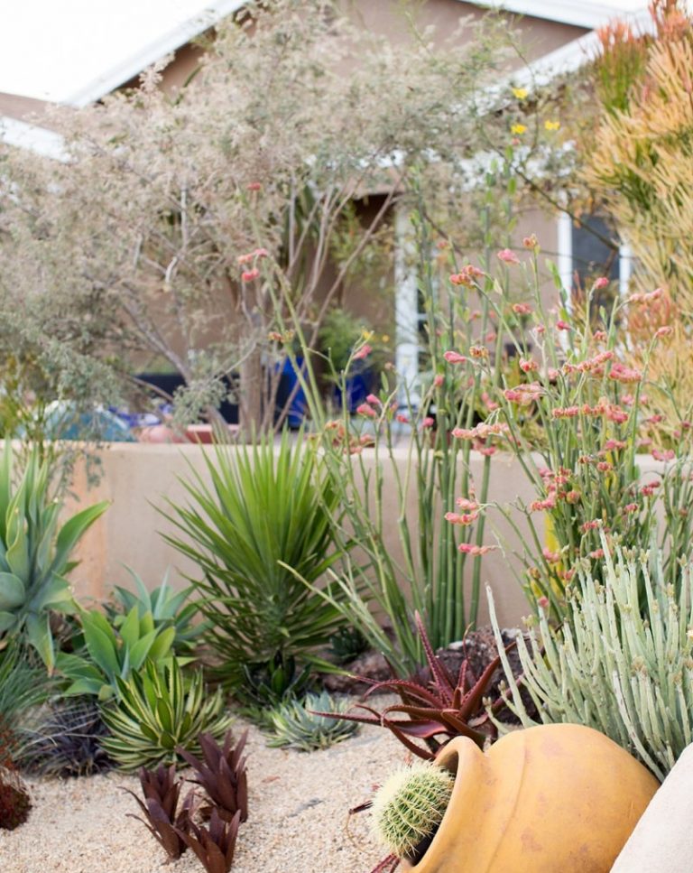 Low Water Landscaping Designs — Randolph Indoor and Outdoor Design