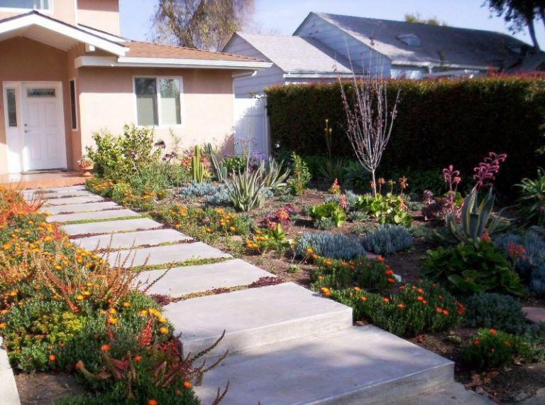 Low Water Landscaping Designs — Randolph Indoor and Outdoor Design