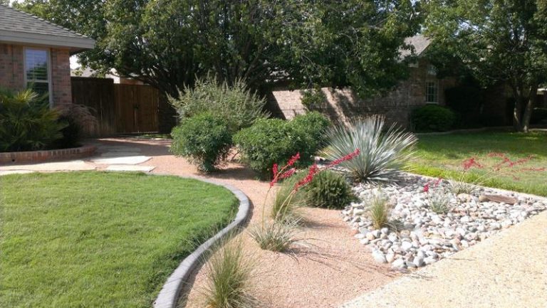 Low Water Landscaping Designs — Randolph Indoor and Outdoor Design