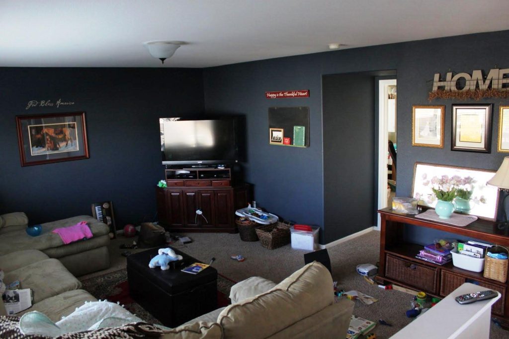 Navy Blue Living Room Walls — Randolph Indoor and Outdoor Design