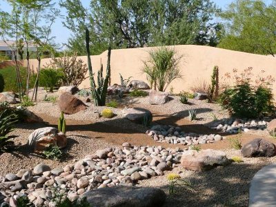 Basic Desert Landscaping Ideas For Beginners — Randolph Indoor and ...