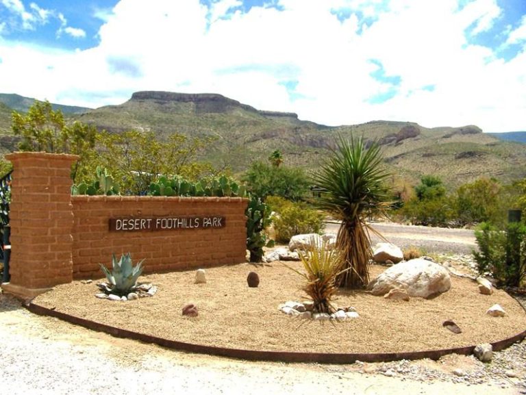 Desert Landscaping Ideas Front Yard — Randolph Indoor and Outdoor Design