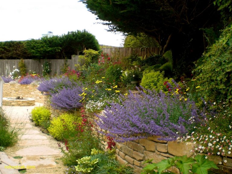 Drought Resistant Front Yard Plans — Randolph Indoor and Outdoor Design