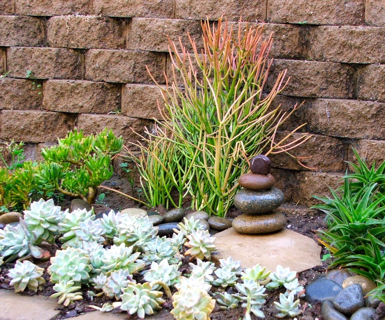 Residential Drought Resistant Landscape Incentive Program — Randolph ...