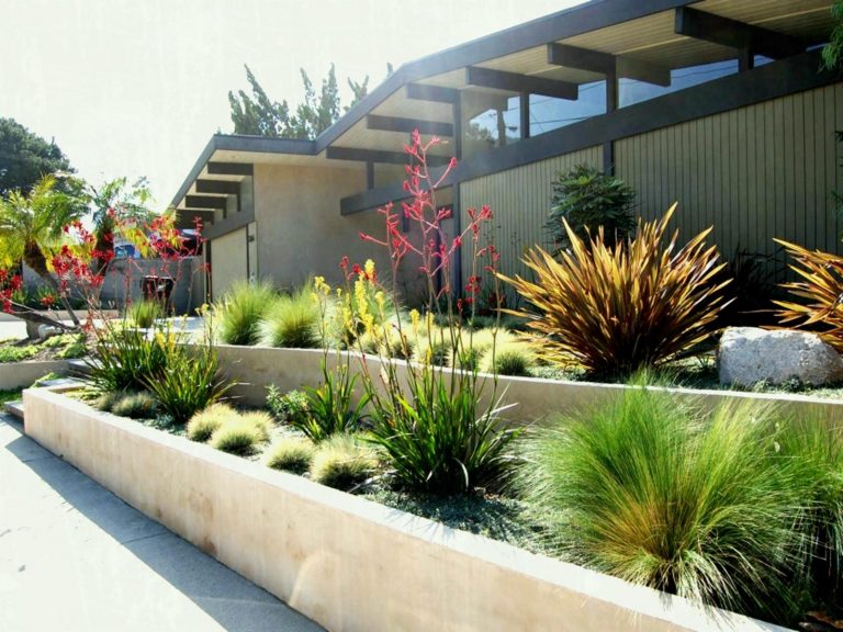 Drought Tolerant Front Yard Landscape Design — Randolph Indoor and ...