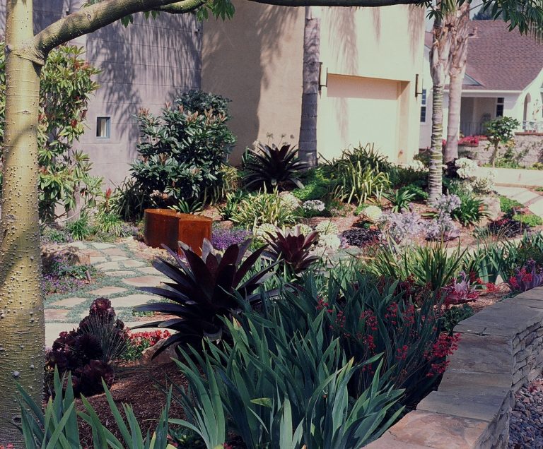 Landscape Design Drought Tolerant — Randolph Indoor and Outdoor Design