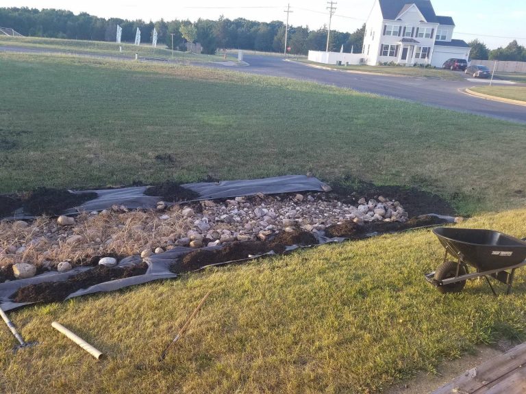 Drainage Ditch Landscaping Ideas Plant — Randolph Indoor and Outdoor Design