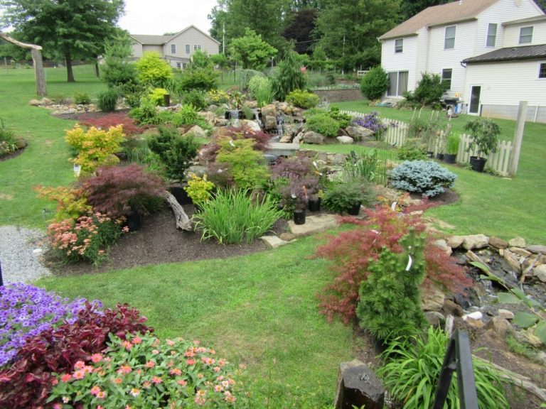 Small Dwarf Trees For Landscaping — Randolph Indoor and Outdoor Design