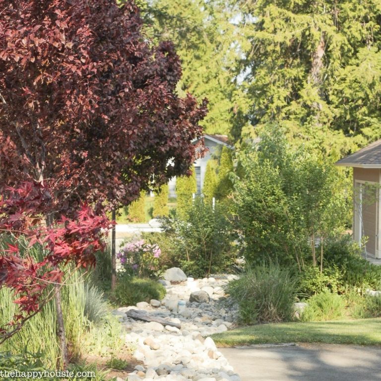 Natural Drainage Ditch Landscaping Ideas — Randolph Indoor and Outdoor ...