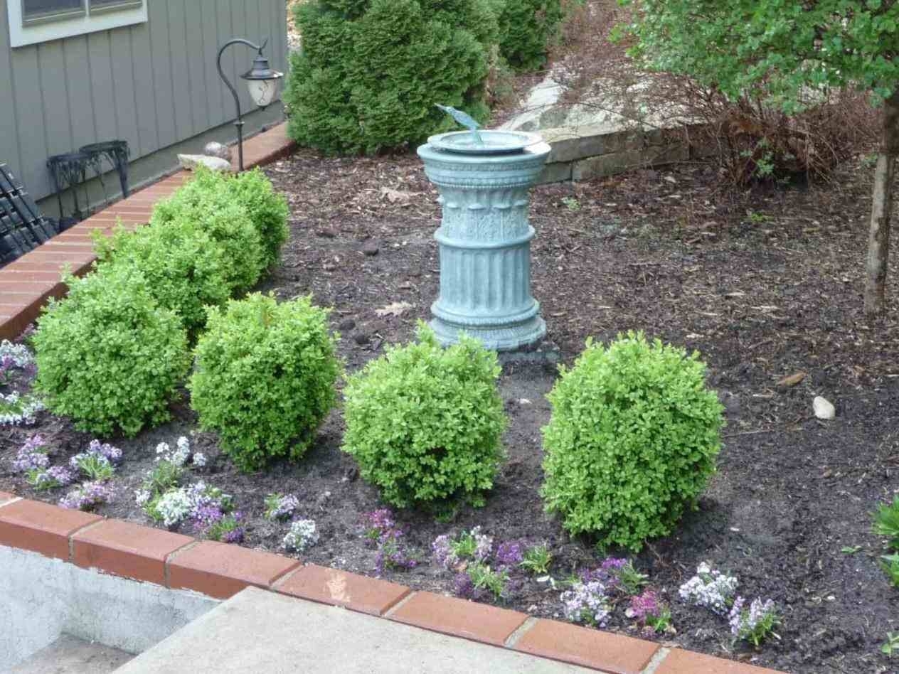 Small Dwarf Native Trees For Landscaping — Randolph Indoor and Outdoor ...