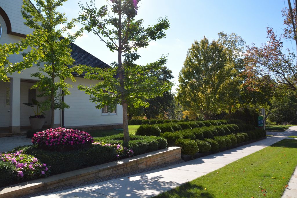 Landscaping Boxwood Shrubs — Randolph Indoor and Outdoor Design