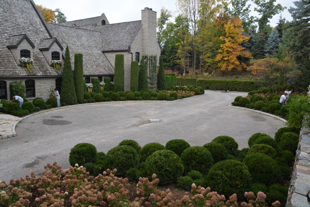 Boxwood And Hydrangea Landscaping — Randolph Indoor and Outdoor Design