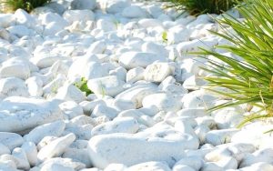 Landscaping Ideas For Front Yards With White Rocks — Randolph Indoor ...
