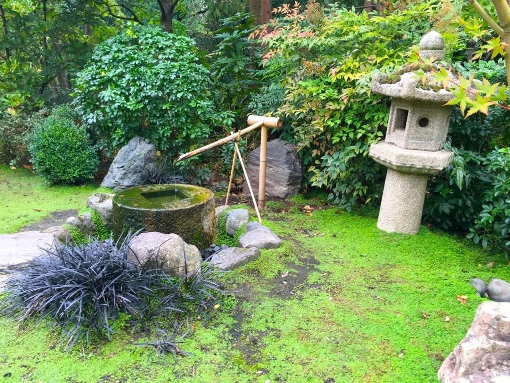 Ideas Focal Point Landscaping — Randolph Indoor and Outdoor Design