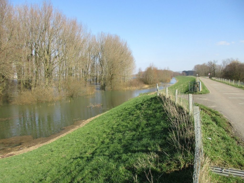 Curbside Landscape Ideas — Randolph Indoor and Outdoor Design