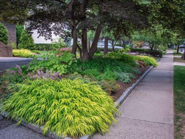 Curbside Landscape Ideas — Randolph Indoor and Outdoor Design