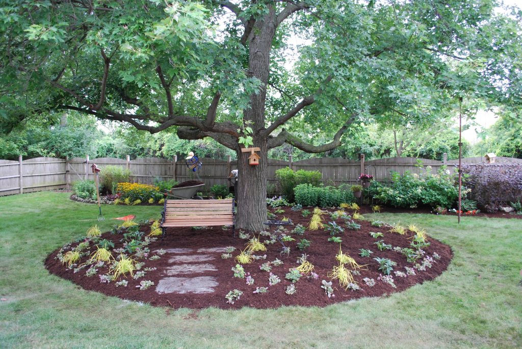 Focal Point In Landscaping — Randolph Indoor and Outdoor Design