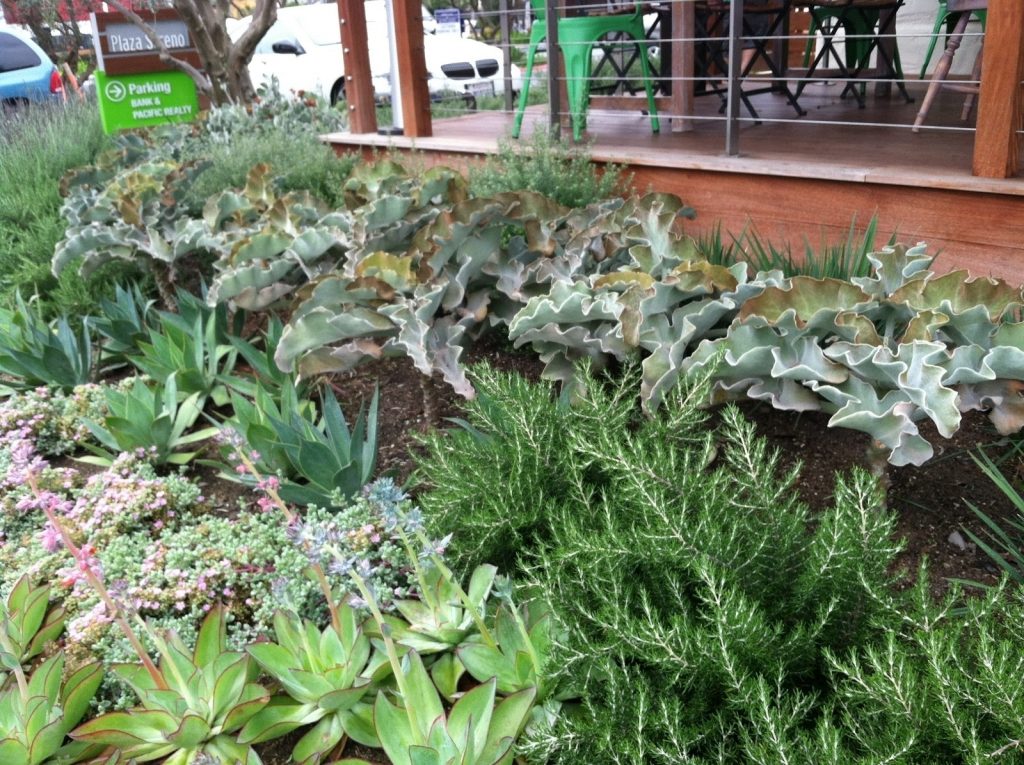 Beautiful Curbside Landscape Design — Randolph Indoor and Outdoor Design