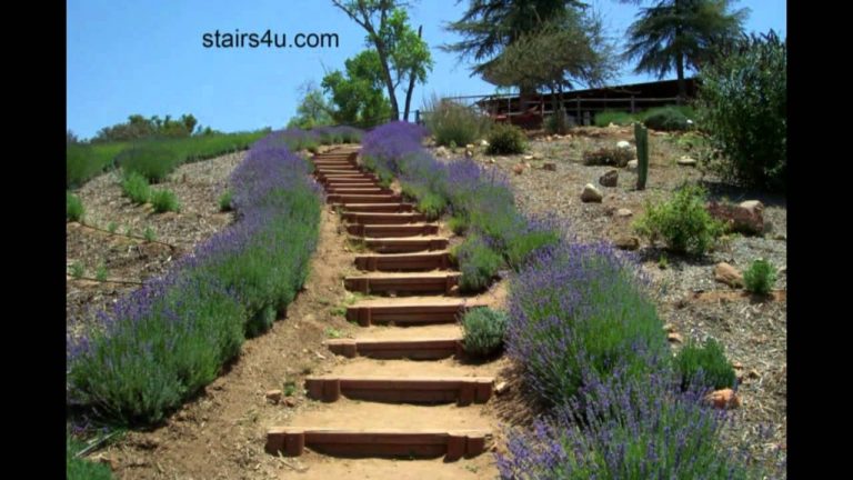 Landscape Ideas For Hillside Backyard — Randolph Indoor and Outdoor Design