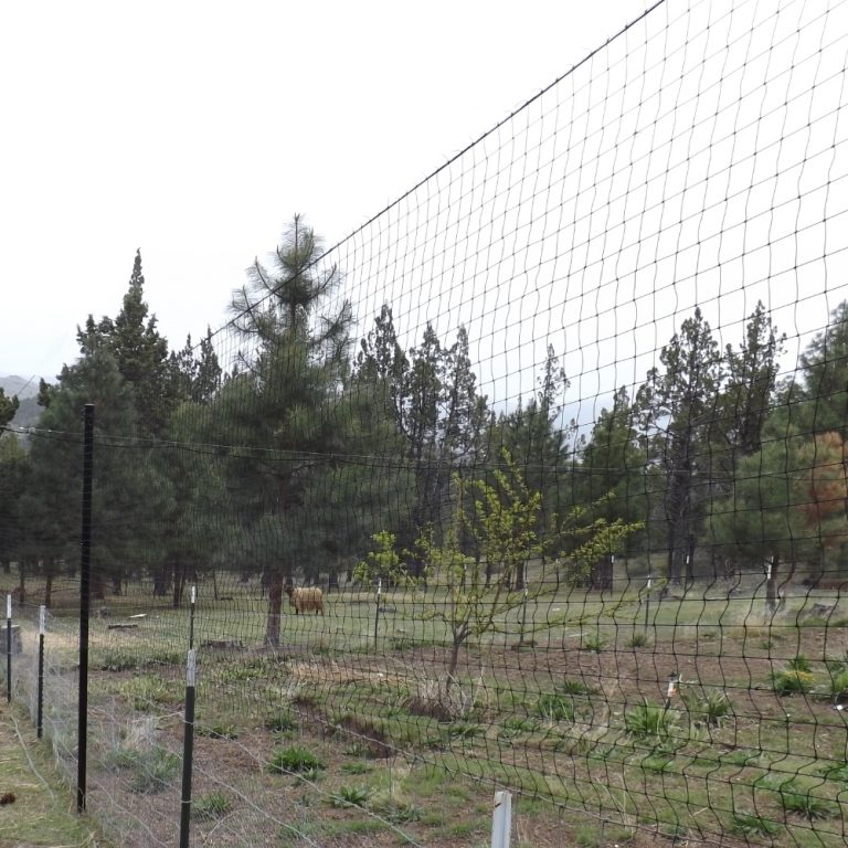 Landscape Netting For Slopes — Randolph Indoor and Outdoor Design