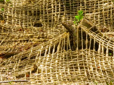 Landscape Netting Biodegrade Germination — Randolph Indoor and Outdoor ...