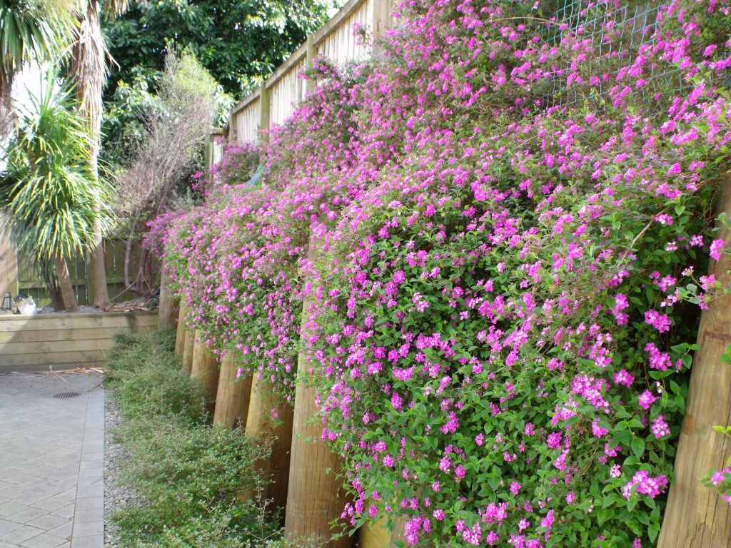 Jute Landscape Netting — Randolph Indoor and Outdoor Design