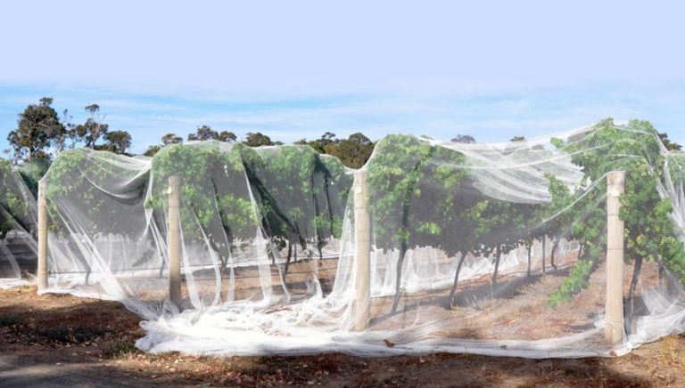 Landscape Shade Netting — Randolph Indoor and Outdoor Design