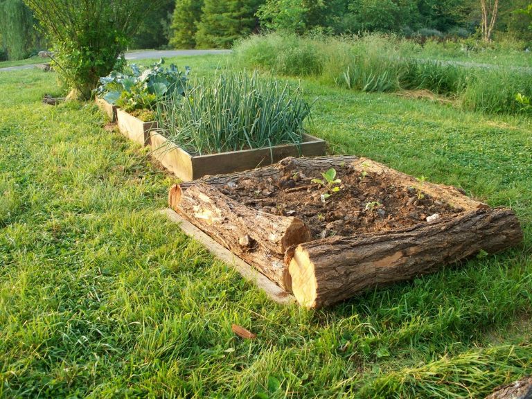 Landscaping Ideas Using Logs — Randolph Indoor and Outdoor Design