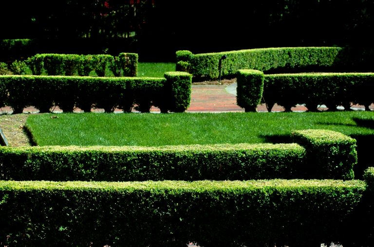 Boxwood And Hydrangea Landscaping — Randolph Indoor and Outdoor Design