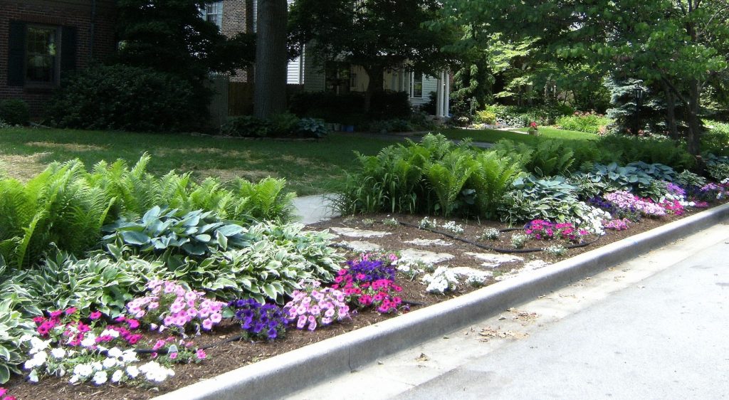 Natural Curbside Landscape Ideas — Randolph Indoor and Outdoor Design