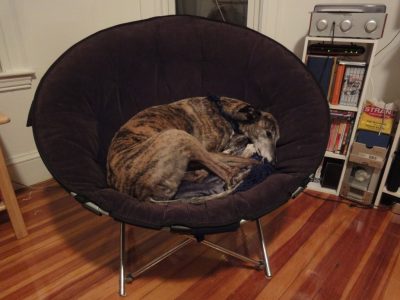 Extra Large Folding Papasan Chair — Randolph Indoor and Outdoor Design