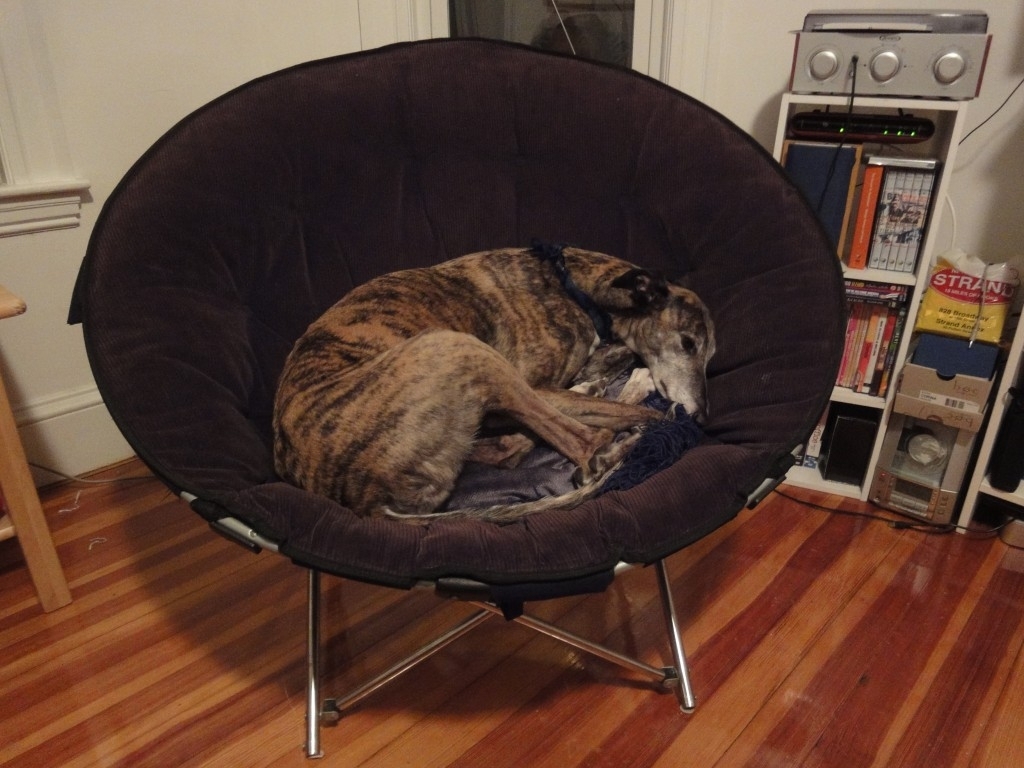 Papasan Folding Lawn Chair — Randolph Indoor and Outdoor Design