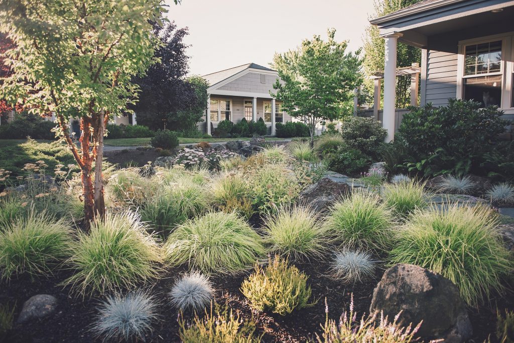 Curbside Landscape Ideas — Randolph Indoor and Outdoor Design