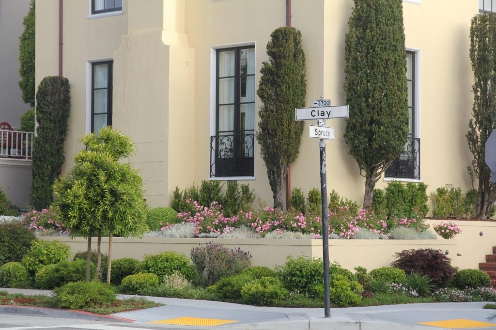 Curbside Landscape Ideas — Randolph Indoor and Outdoor Design