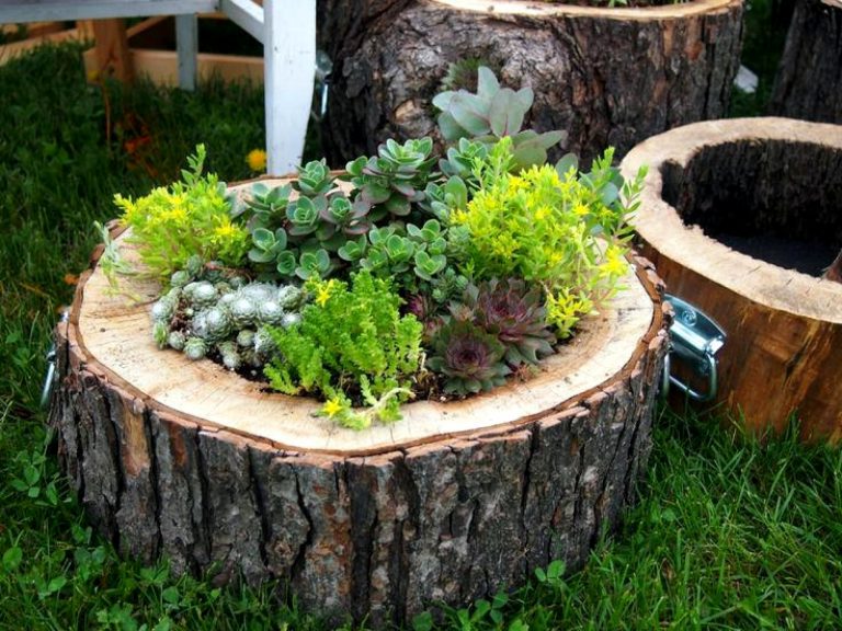 Using Tree Logs In Landscaping — Randolph Indoor and Outdoor Design