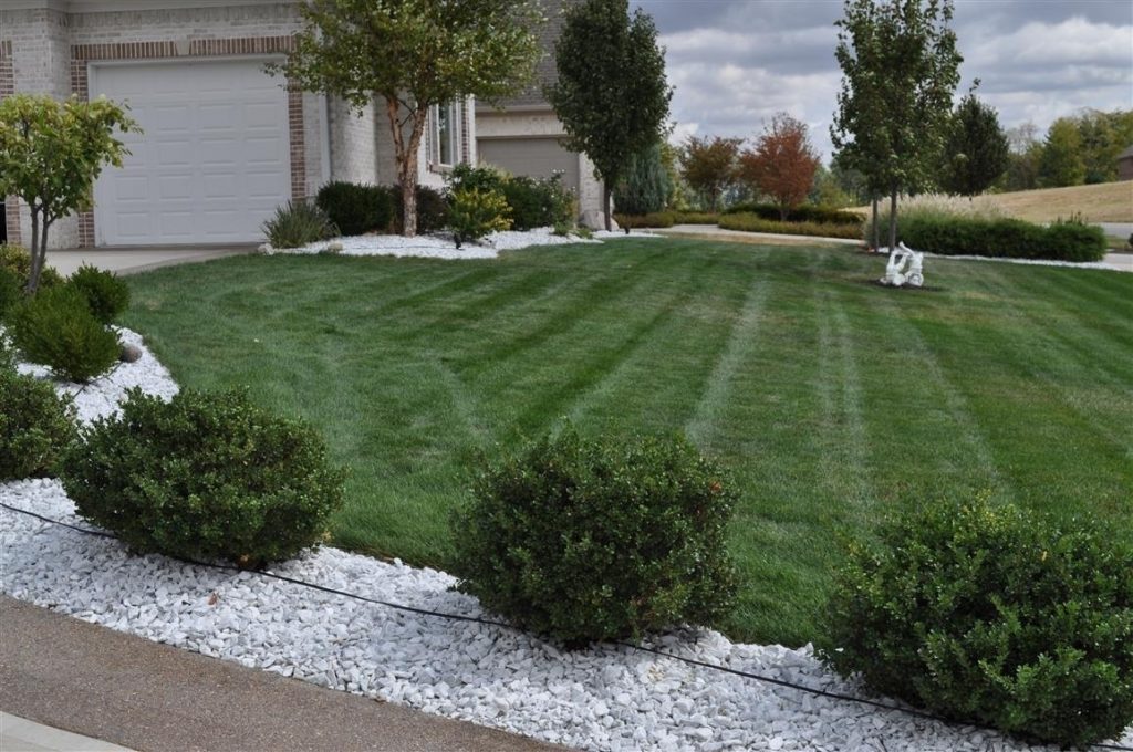 Landscaping Ideas For Front Yards With White Rocks — Randolph Indoor ...