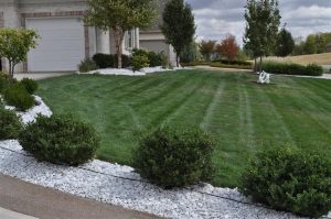 Landscaping Ideas For Front Yards With White Rocks — Randolph Indoor ...
